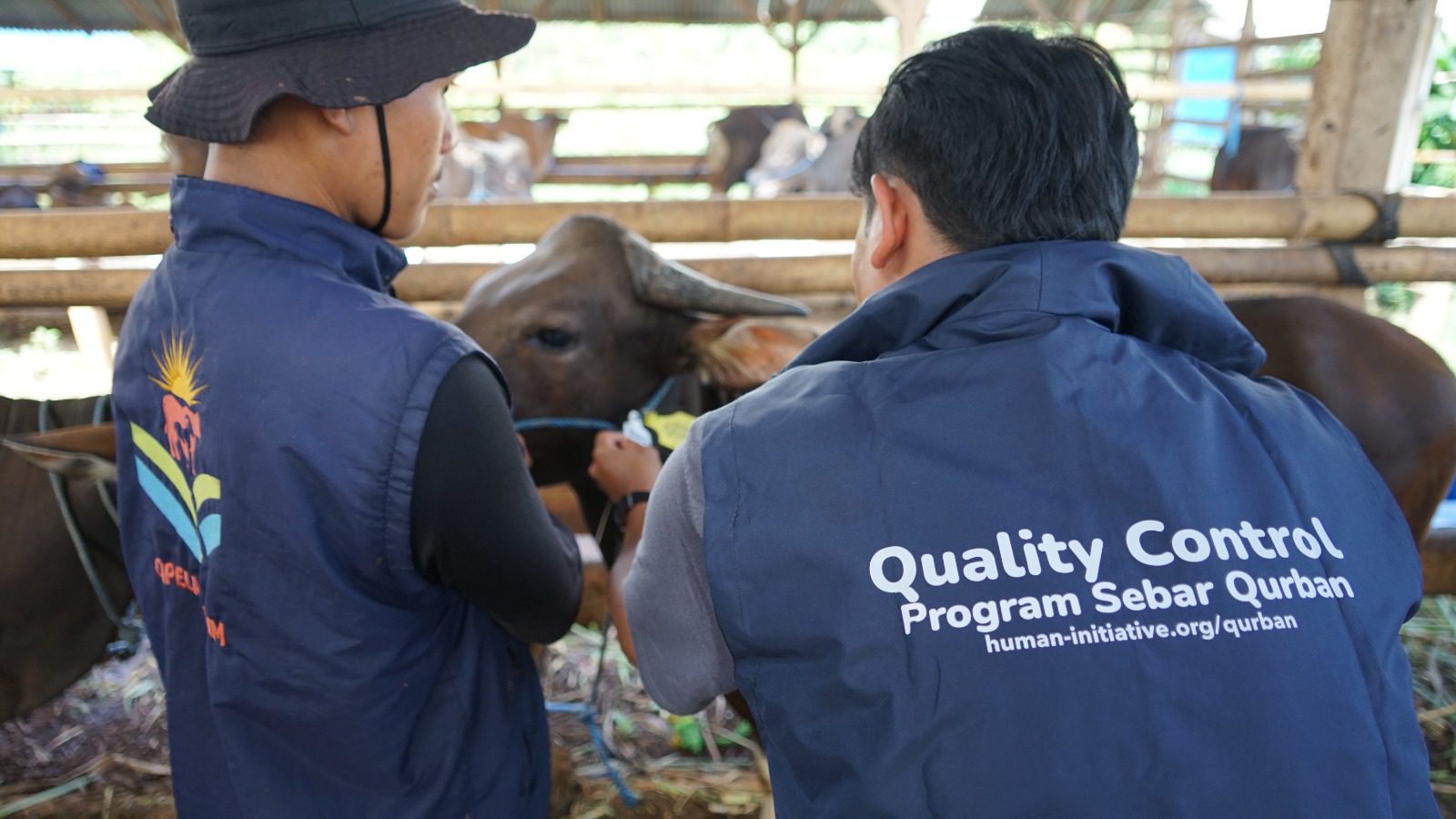 Quality Control Sebar Qurban di 9 Wilayah Dalam dan Luar Negeri - Human ...